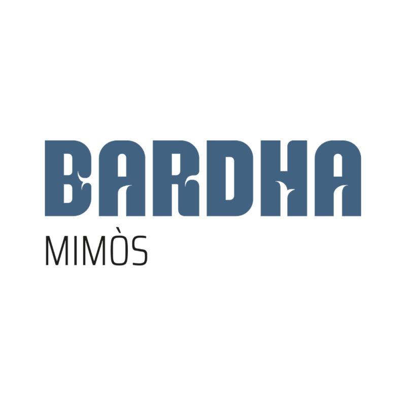 Positioning and branding strategy for Bardha Mimòs